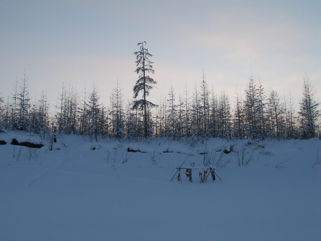 Kolyma Yukaghir – Endangered Languages and Cultures of Siberia