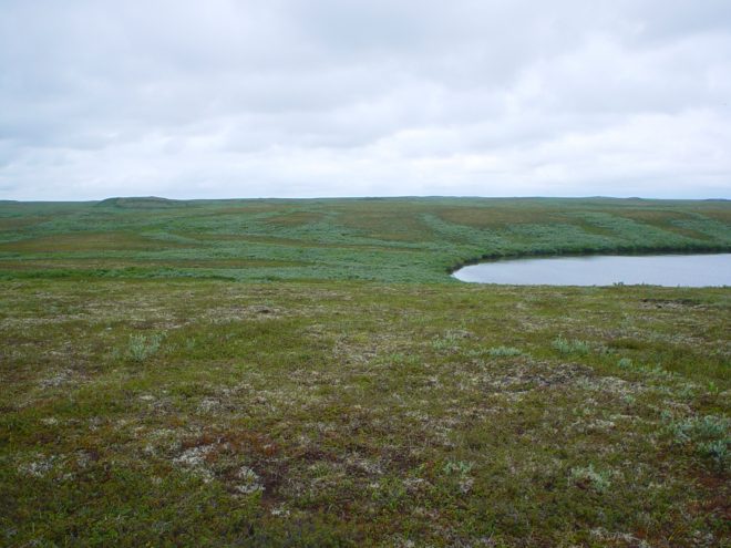 The tundra of Malaya Zemlya – Endangered Languages and Cultures of Siberia