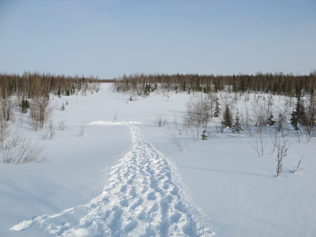 Forest Enets – Endangered Languages and Cultures of Siberia
