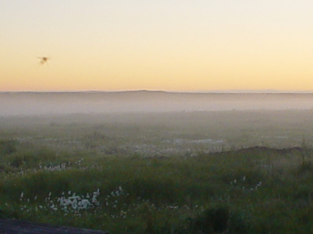 Tundra Nenets – Endangered Languages and Cultures of Siberia
