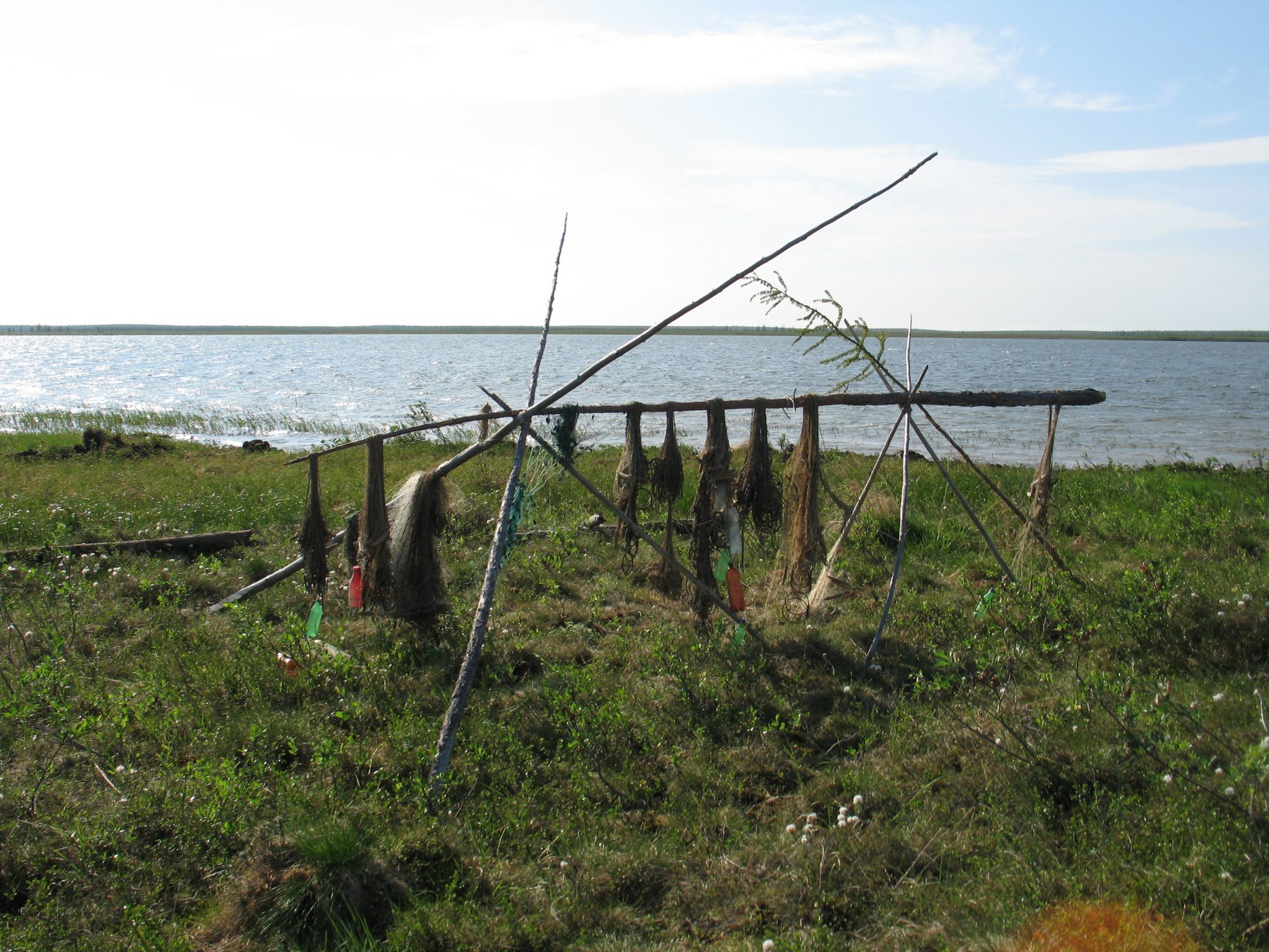 Fishnets of the Yukaghir fishermen by the lake of Olera – Endangered ...