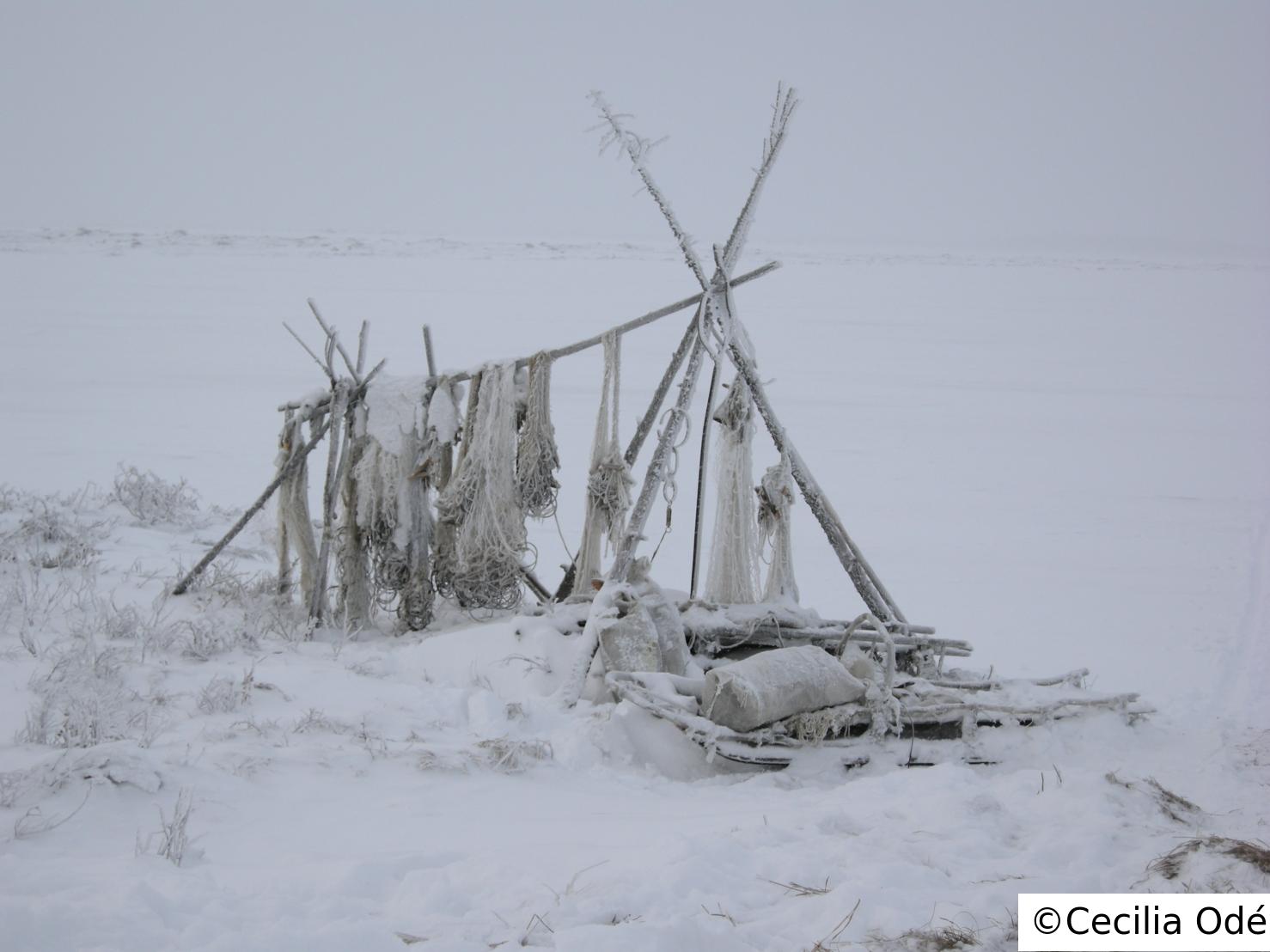 Dariya Kurilova – Endangered Languages and Cultures of Siberia