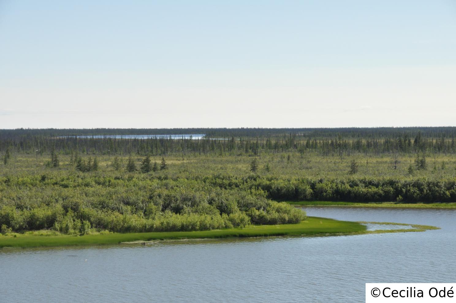 Dora Tatayeva – Endangered Languages and Cultures of Siberia