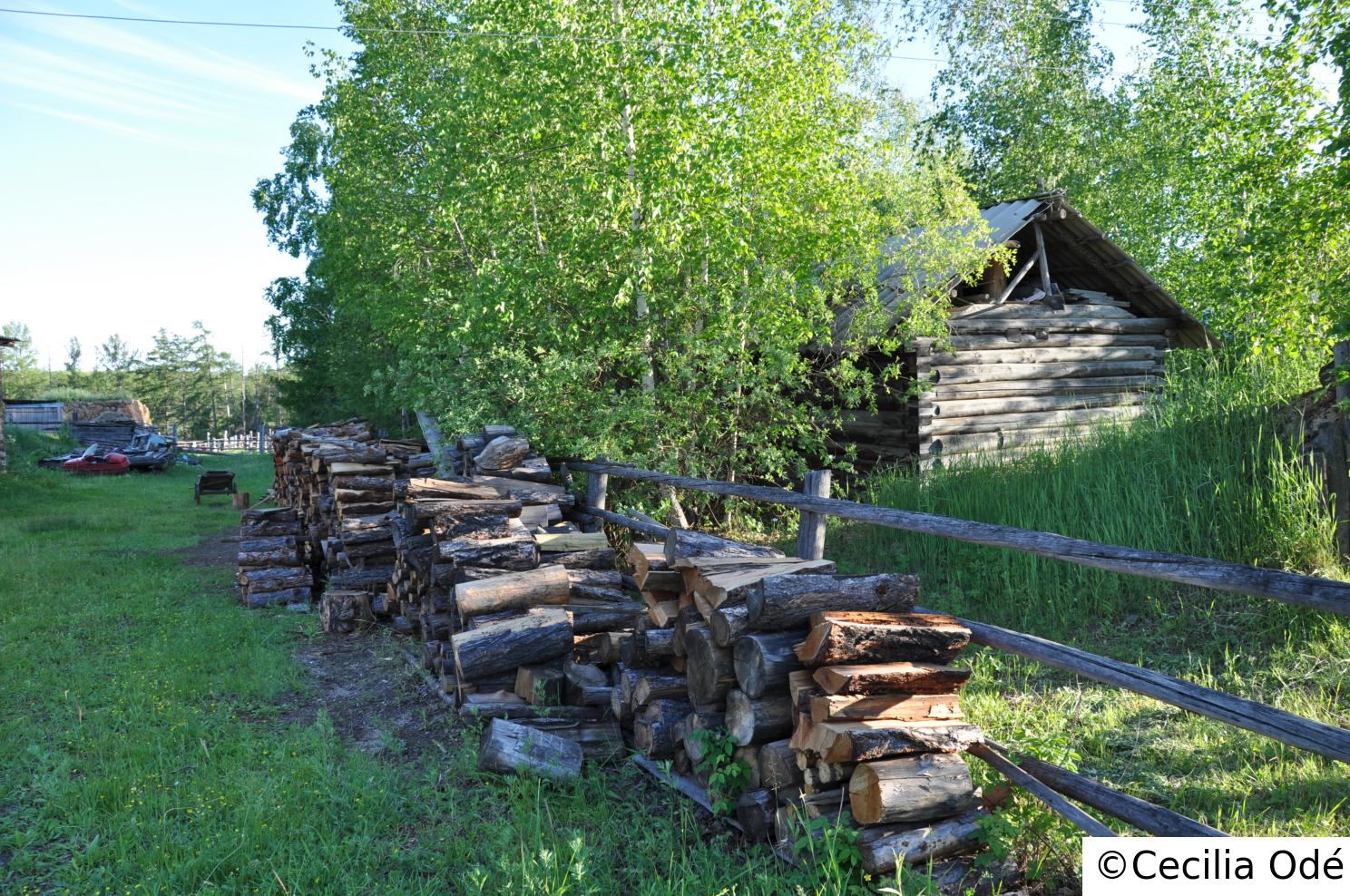 Grigoriy Golikov – Endangered Languages and Cultures of Siberia